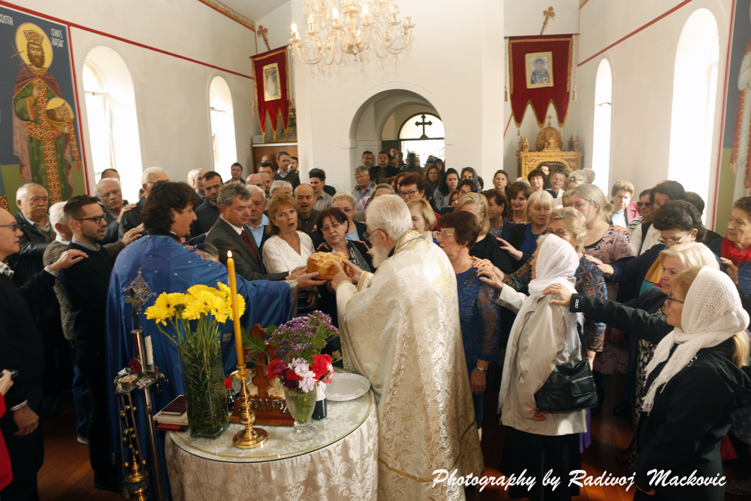 The Circle of Serbian Sisters Slava – Saint Sava